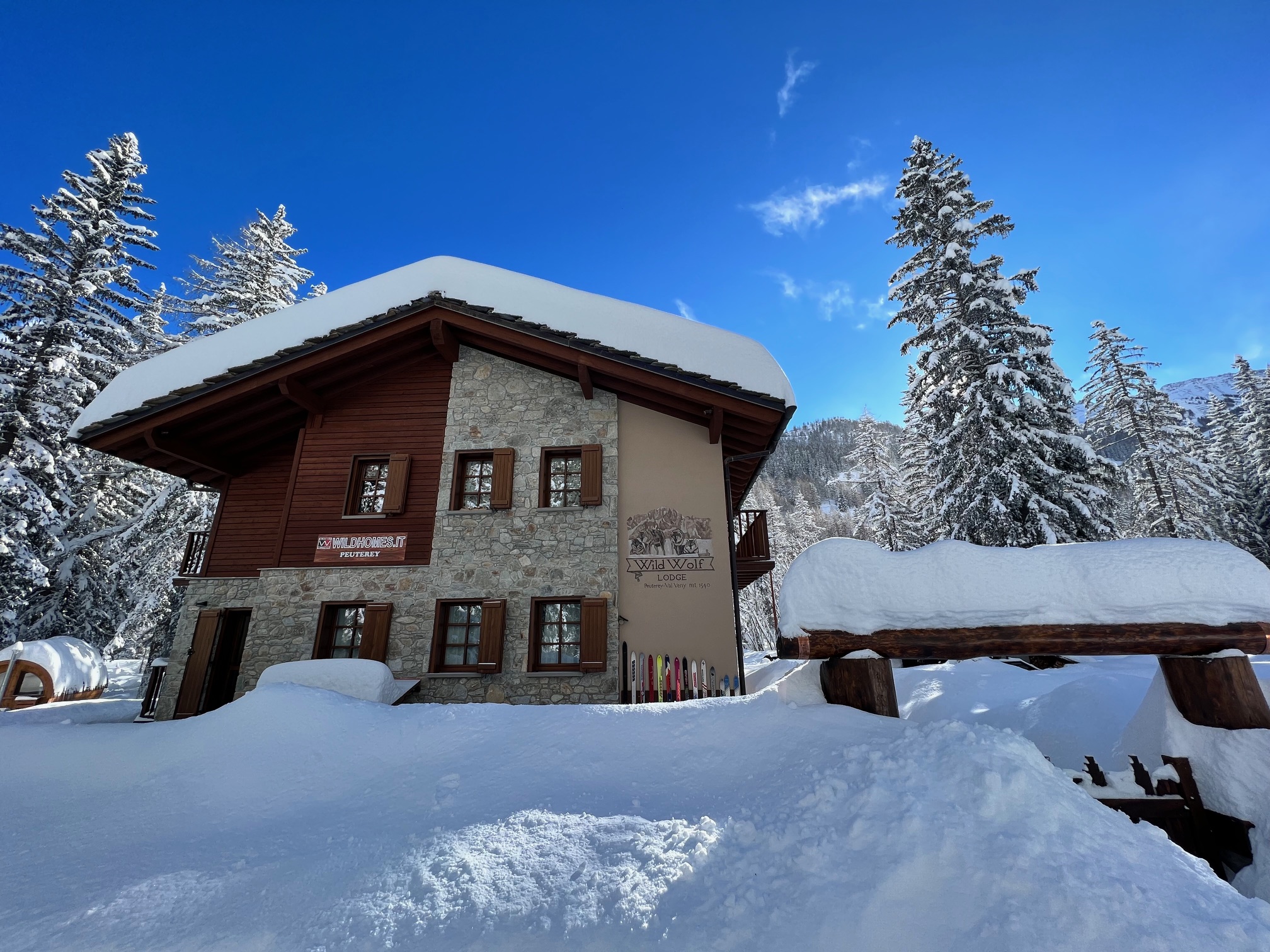 Wild Sleddog Experience With an overnight stay at Wild Wolf Lodge – Dog ...