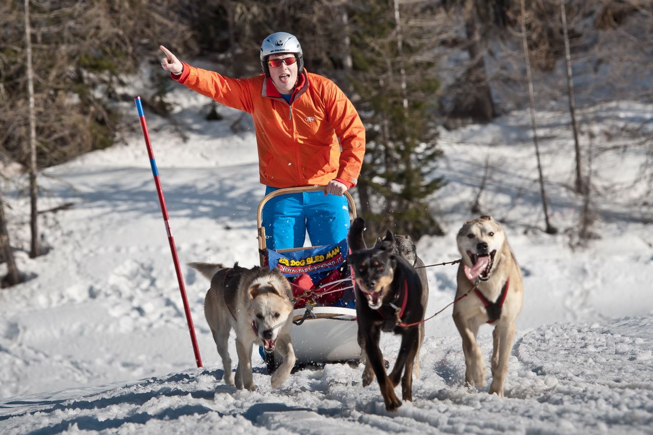 The Real Sleddog Experience – Dog Sled Man